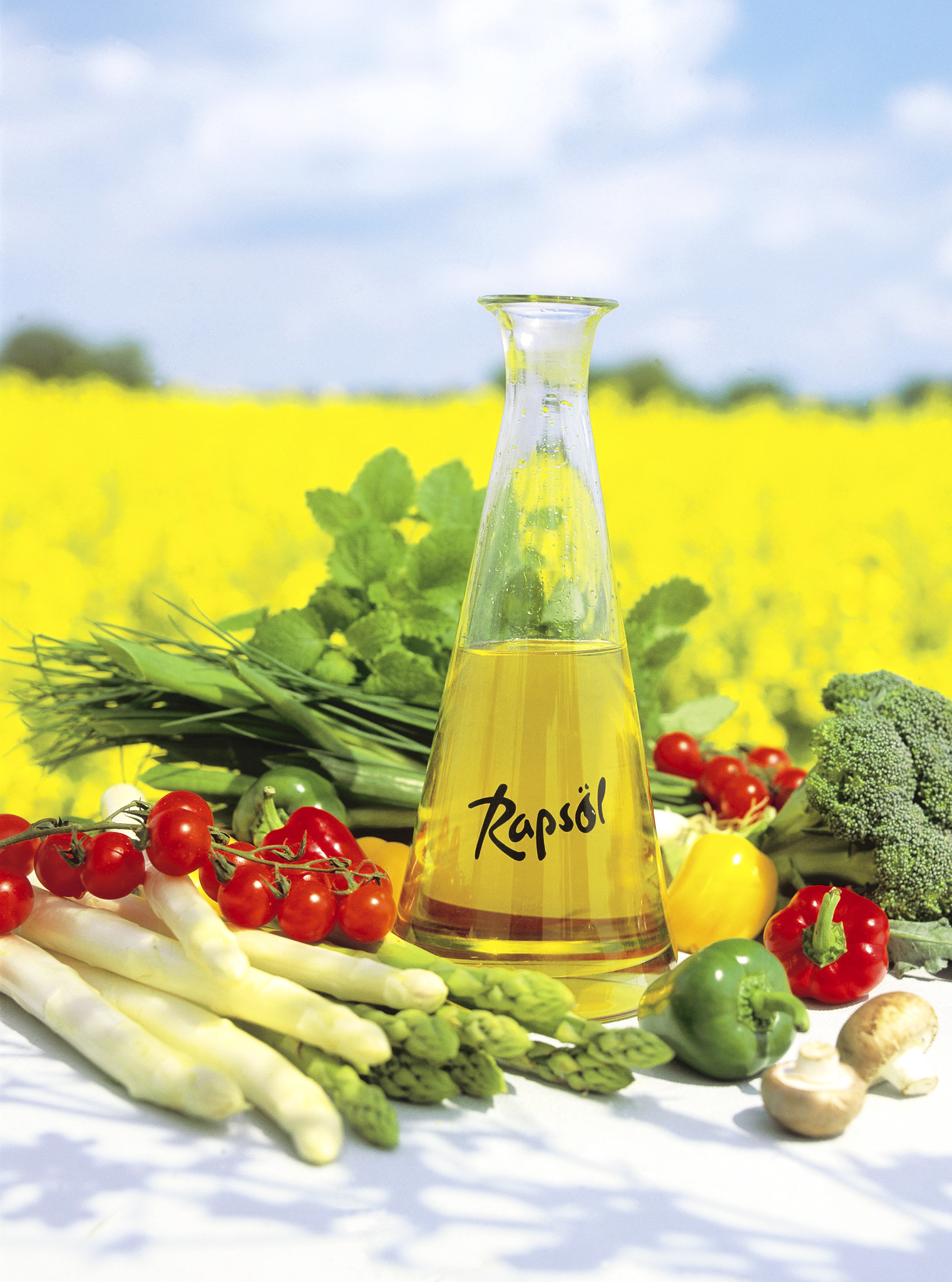UFOP :: Rapsöl & Ernährung